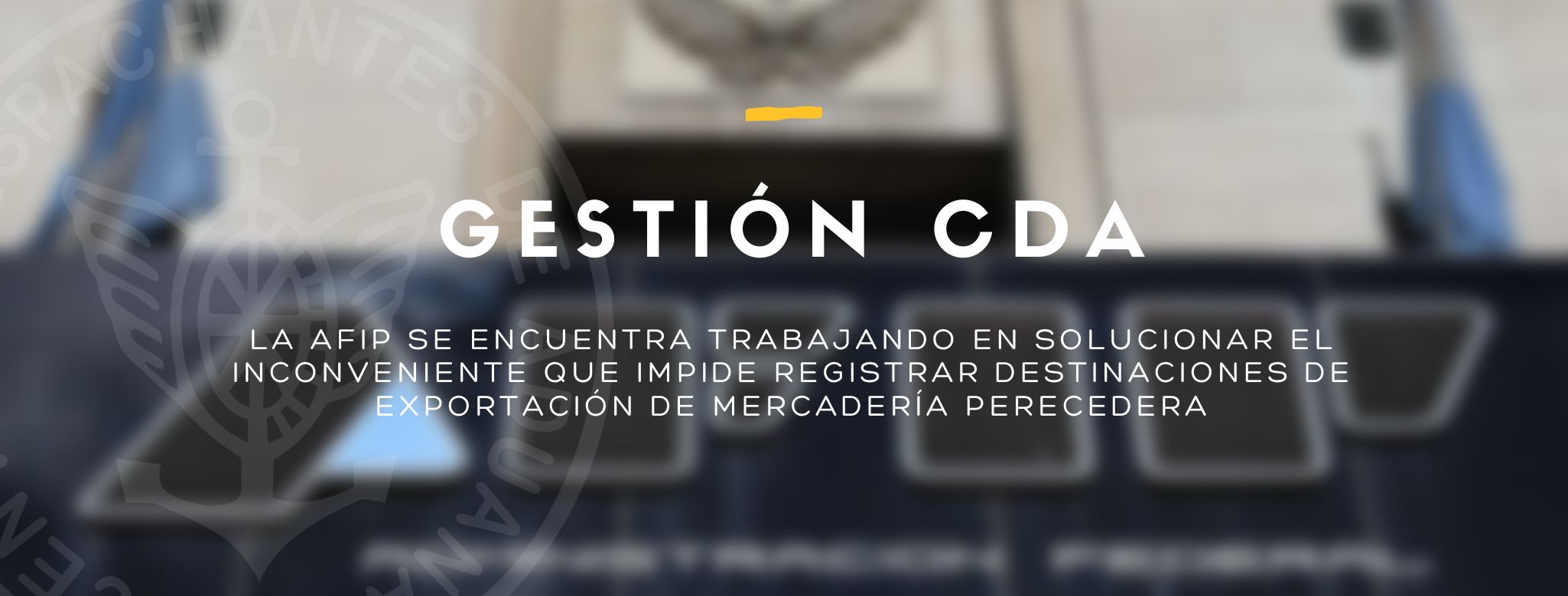 CDA - Centro Despachantes de Aduana de la Republica Argentina - Gestión ...