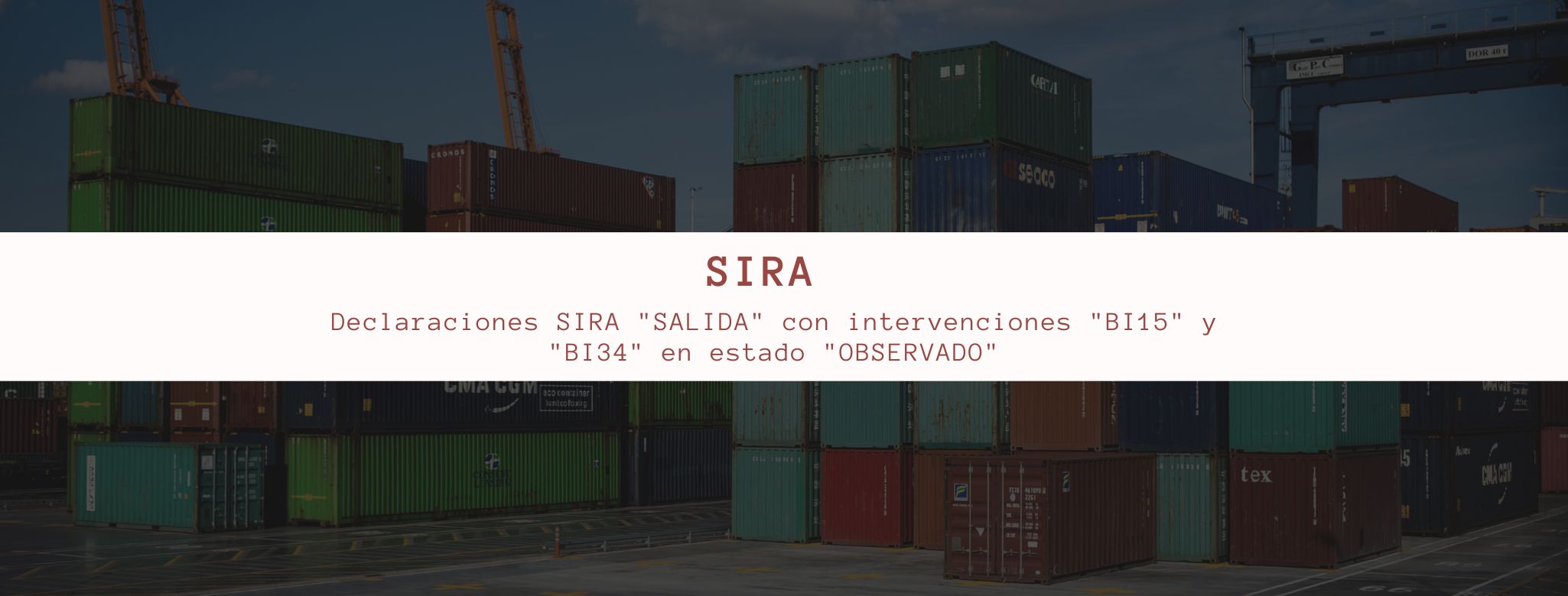 CDA - Centro Despachantes de Aduana de la Republica Argentina - SIRA ...